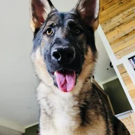 CCW vs. CW rotation | BobIsTheOilGuy